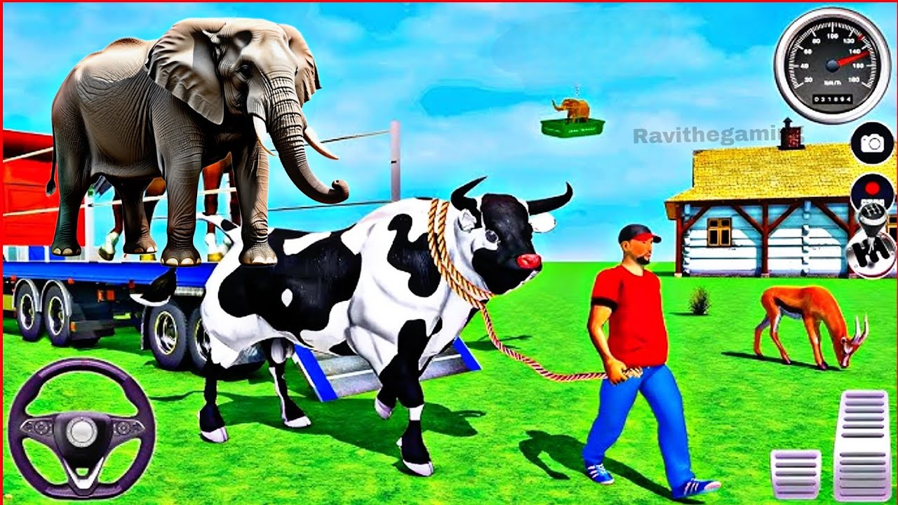 wild animals transport Big bull 🐂 vs elephant🐘 #elephants #bull # ...