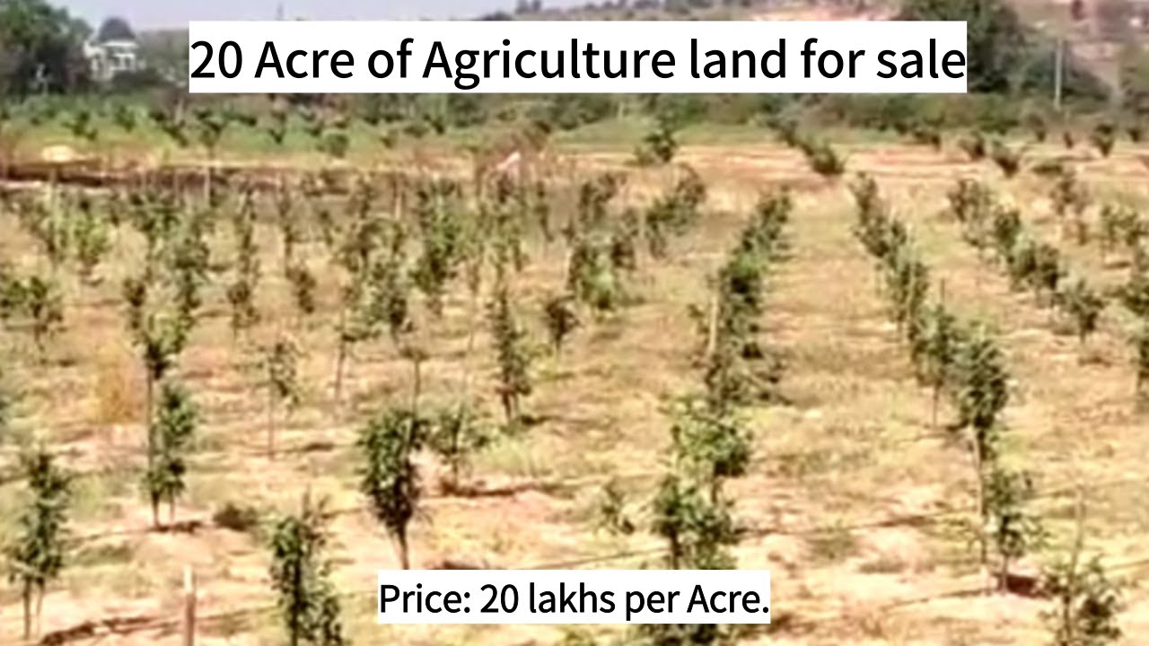 20 Acre || Agricultural land for sale || Malegaon || Adilabad Dist ...