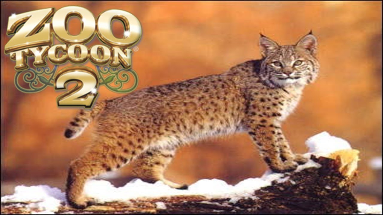 Zt2- Hábitat del Lince Rojo/Habitat of the Bobcat -Zoo Tycoon 2 Speed ...