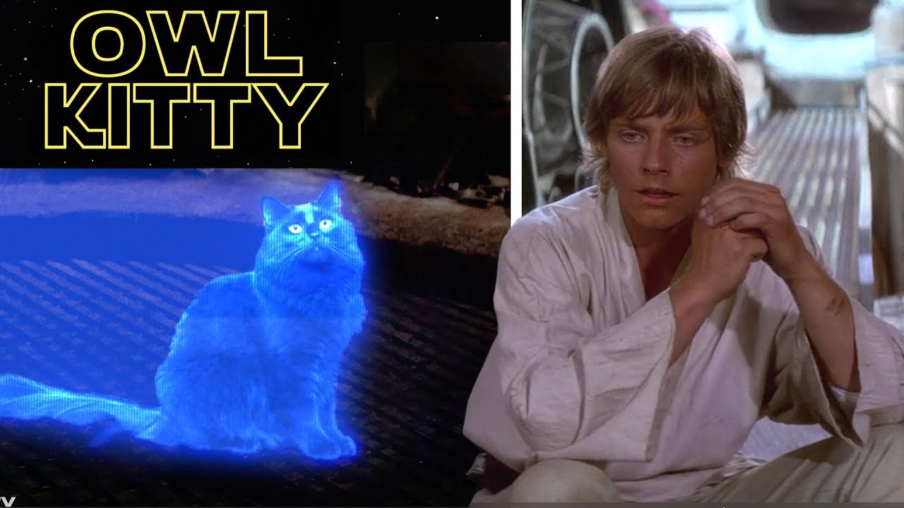 Star Wars - with my cat OwlKitty - YouTube