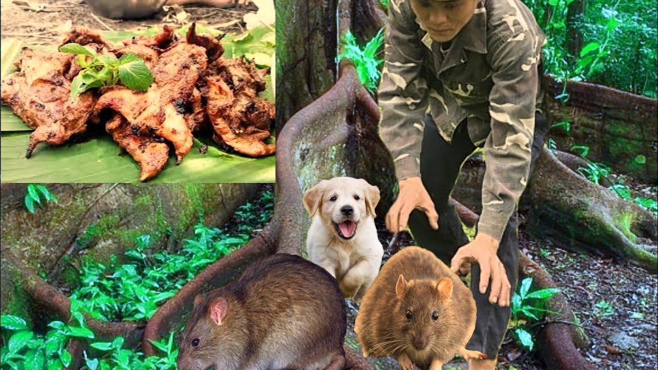 How to make delicious dishes from Rats - Part 3 the first place to ...