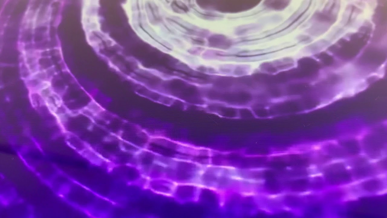 MEDITACIÓN RAYO VIOLETA - YouTube