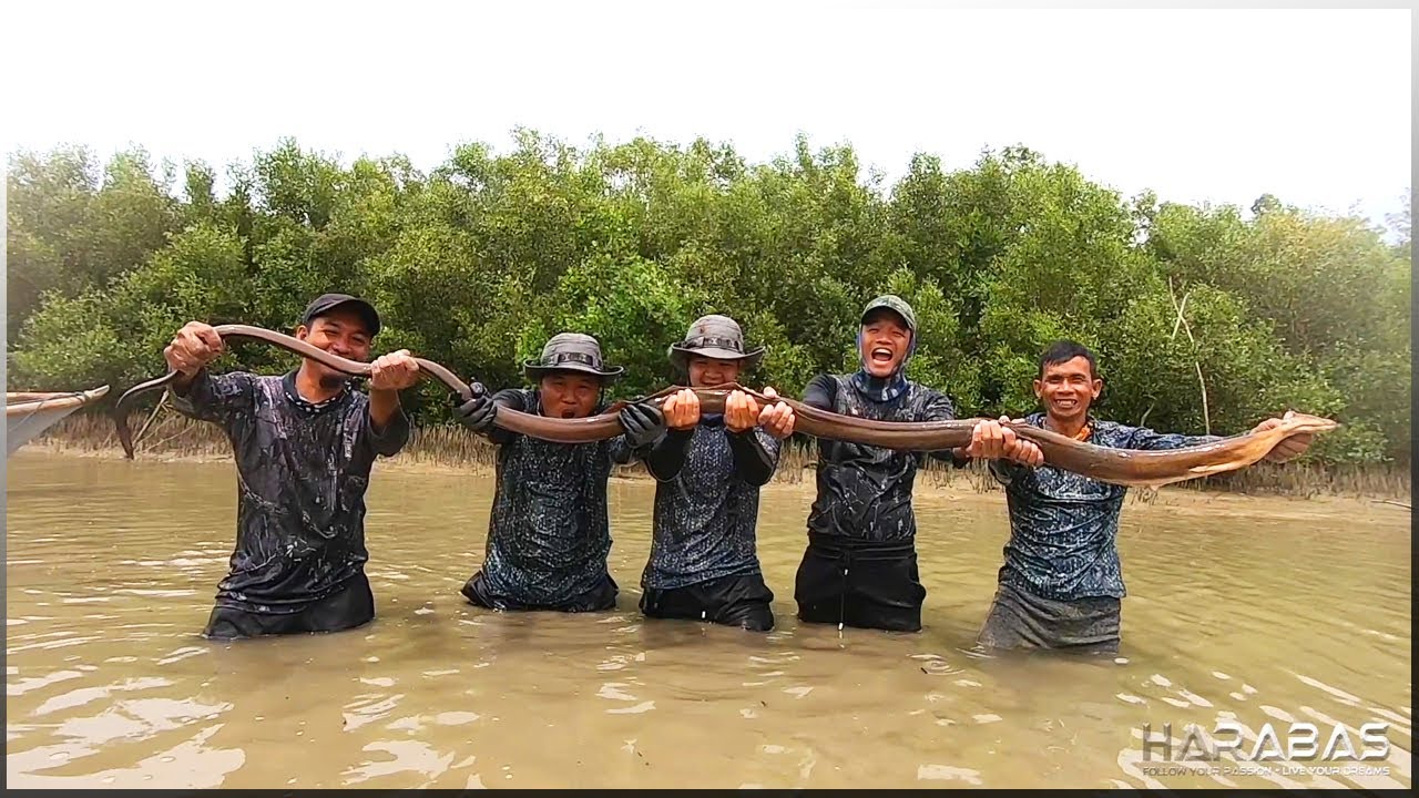 EP403-Part 2 - Malabanos Eel Catch and Cook | Occ. Mindoro - YouTube