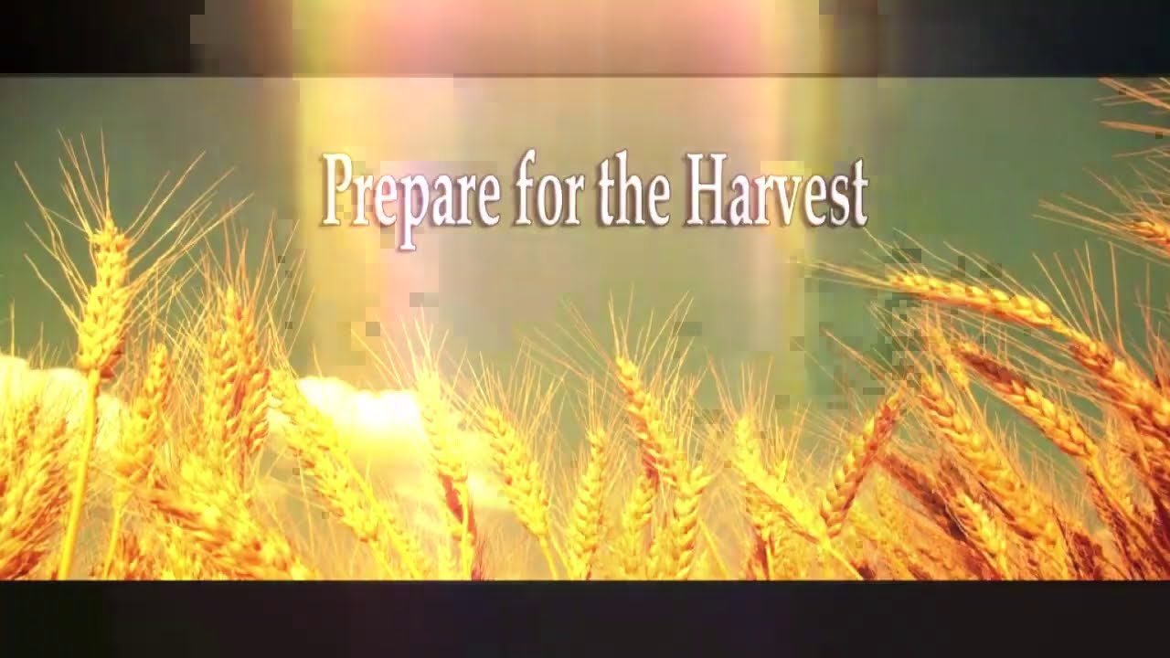 IT IS HARVEST TIME - YouTube