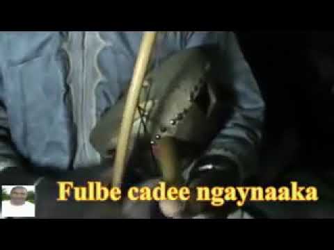 Foulbe cadee Gaynako
