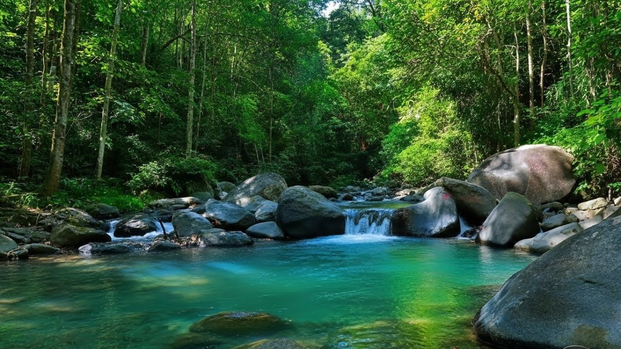 Natural Stream Flow for Meditation, Sleep and Calm - YouTube