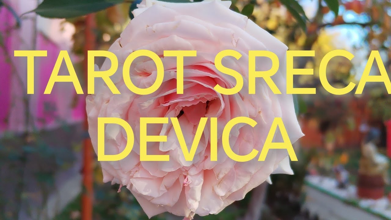 DEVICA - 20.11.-30.11. - YouTube