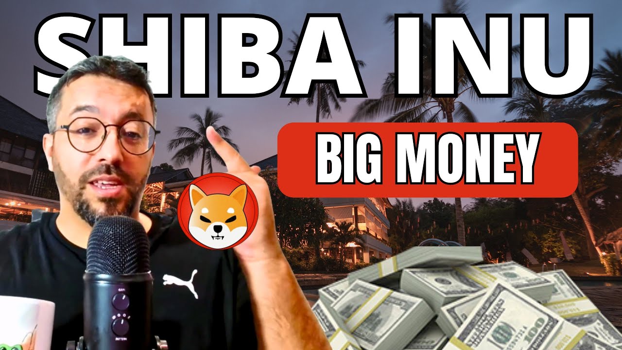 🦊 SHIBA INU : Ma stratégie dans le KRASH du Bitcoin et marché crypto ...
