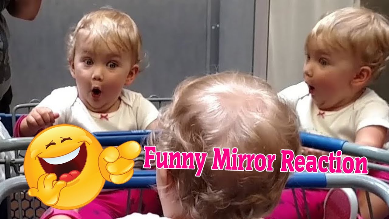 Top Cute Funny Baby Reactions | Funny Videos Laughing | Best Of Funny ...