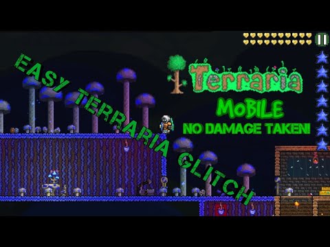 Insane Terraria Invincibility Glitch 2019!!! - YouTube