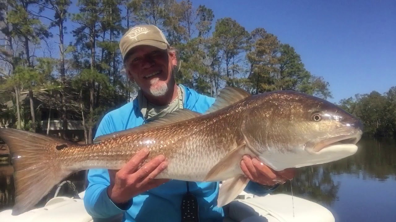 Fishing for bulls in the lagoon - YouTube