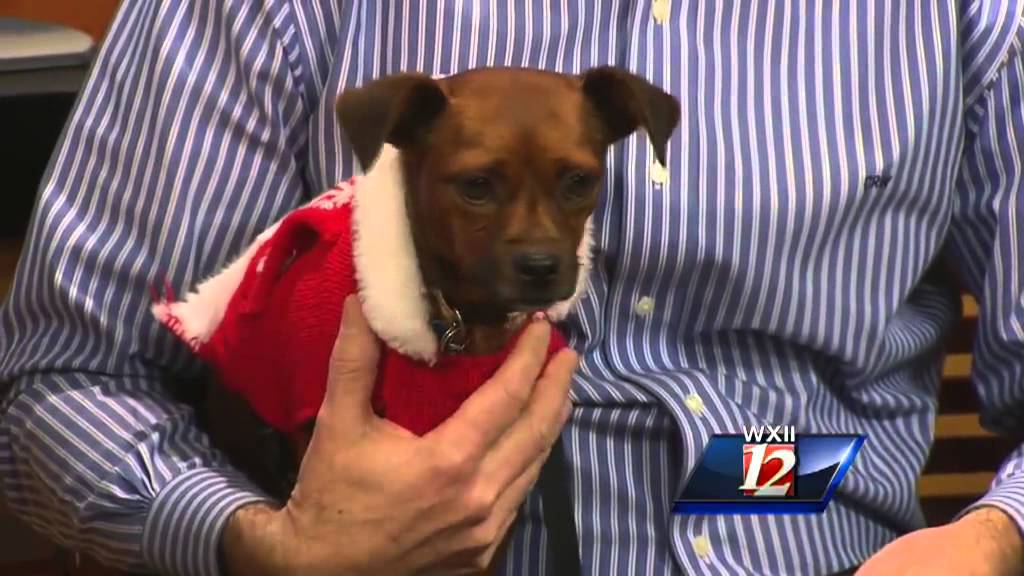 WXII 12 noon pet of the week: Delly and Donaven - YouTube