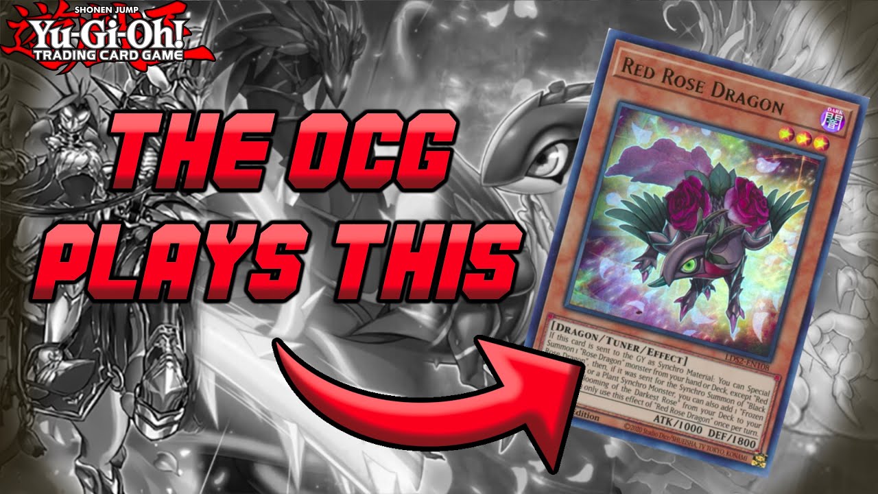 Red Rose Dragon Is played in the OCG here's why - YouTube