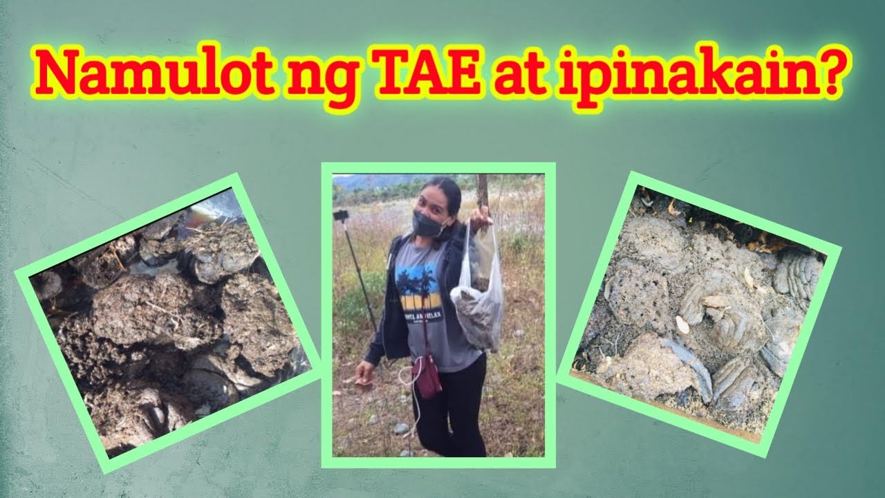 KAIN TAE CHALLENGE accepted🤣 || Plantita's Life || Rhea Jolly - YouTube