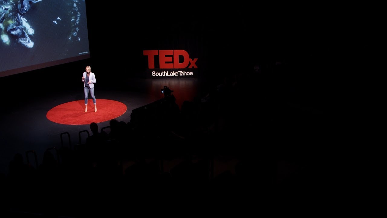 From science to solutions in Lake Tahoe | Darcie Goodman Collins, PhD ...