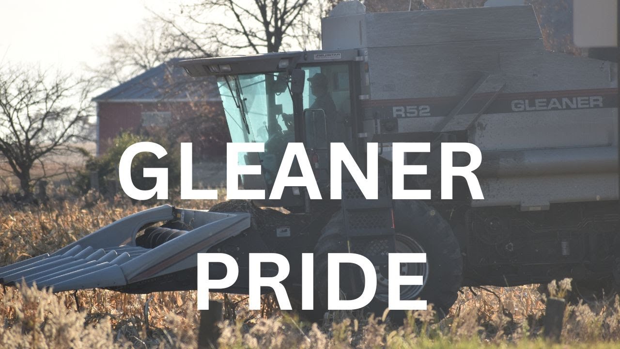 Deer Ravaged Corn Field - Gleaner R52 Ride with Farmer Dan # ...