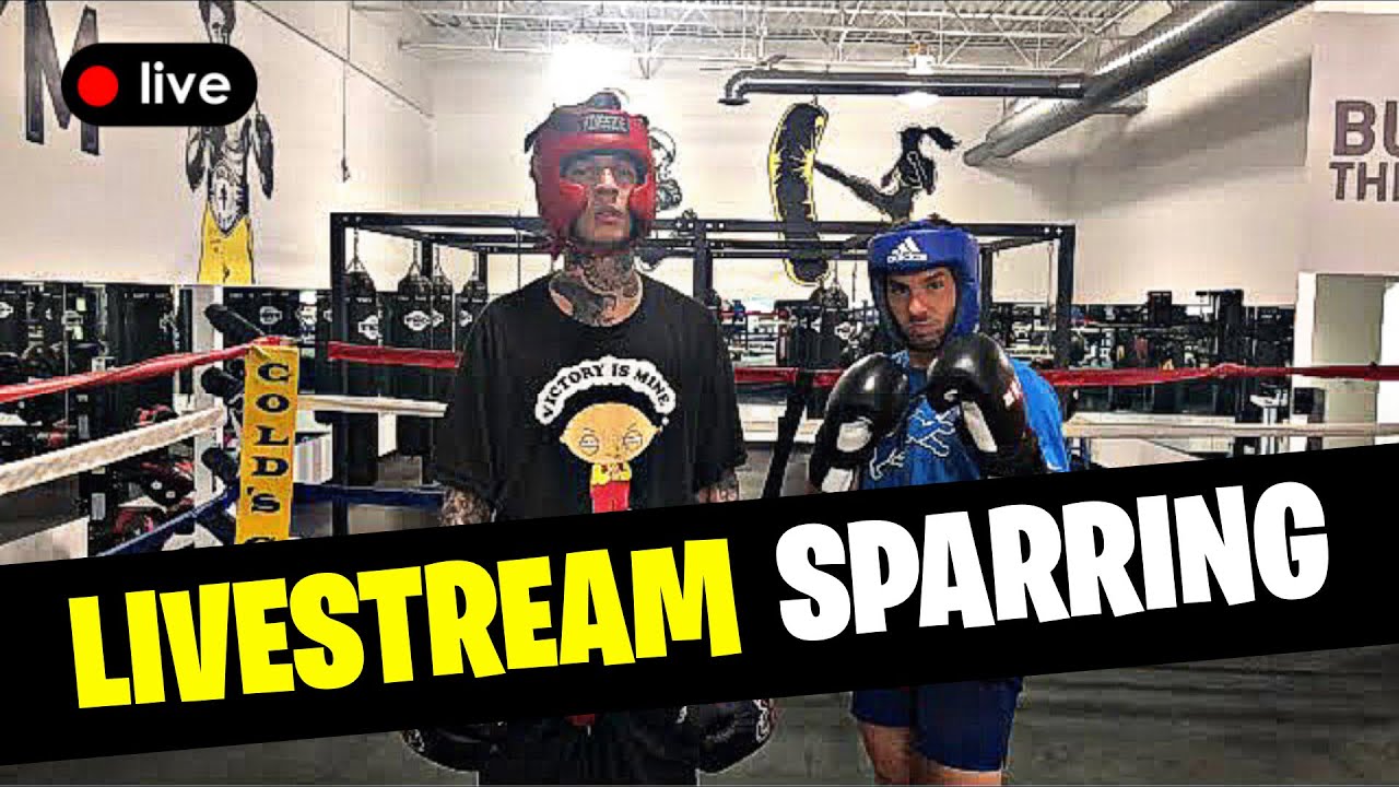 K9 Boxing Livestream: Sparring Session #35 - YouTube
