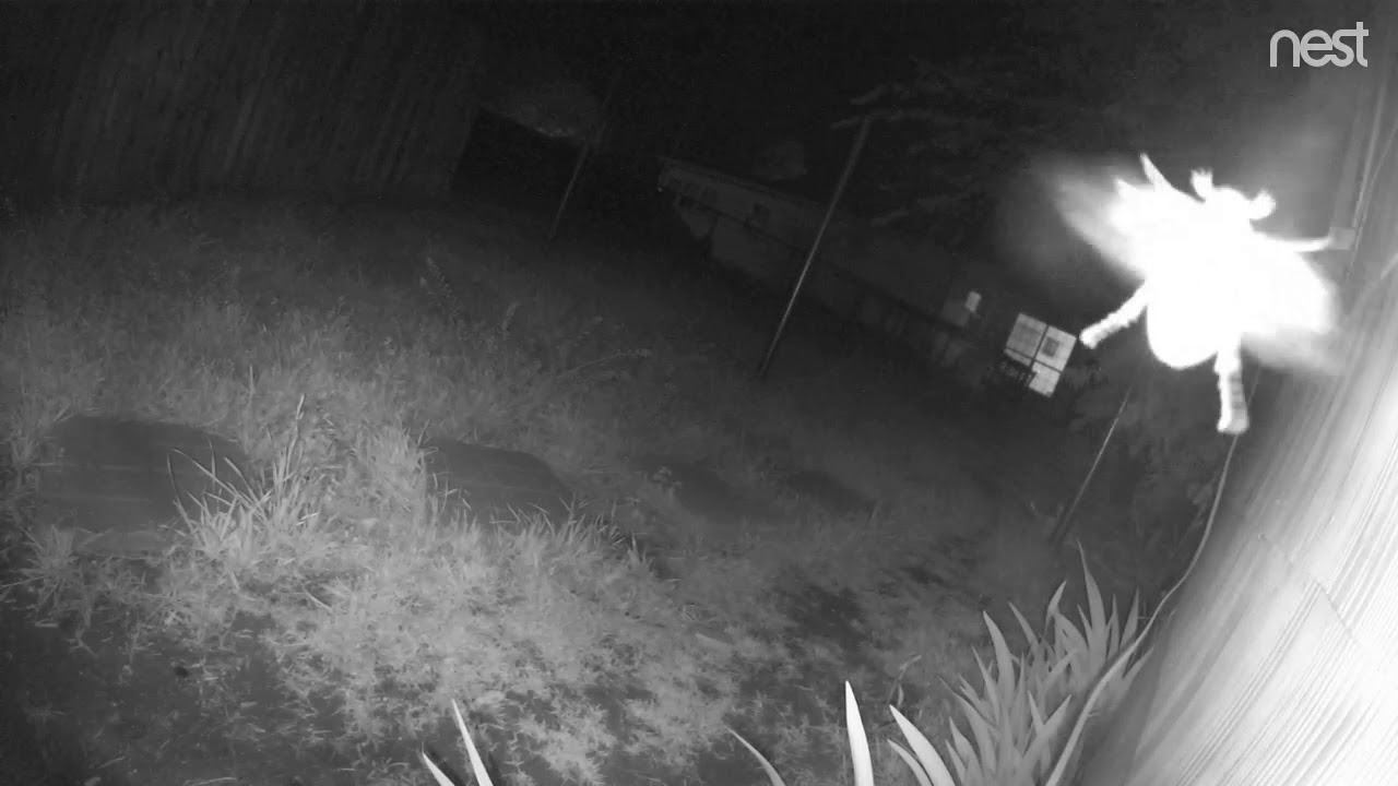Nest Camera - June Bug - YouTube