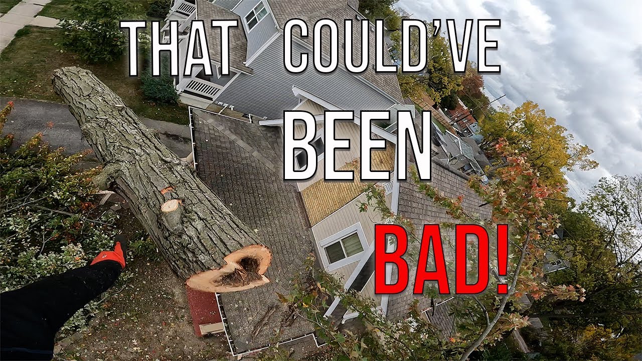 This Is How We Deal With Underbid Tree Jobs! - YouTube