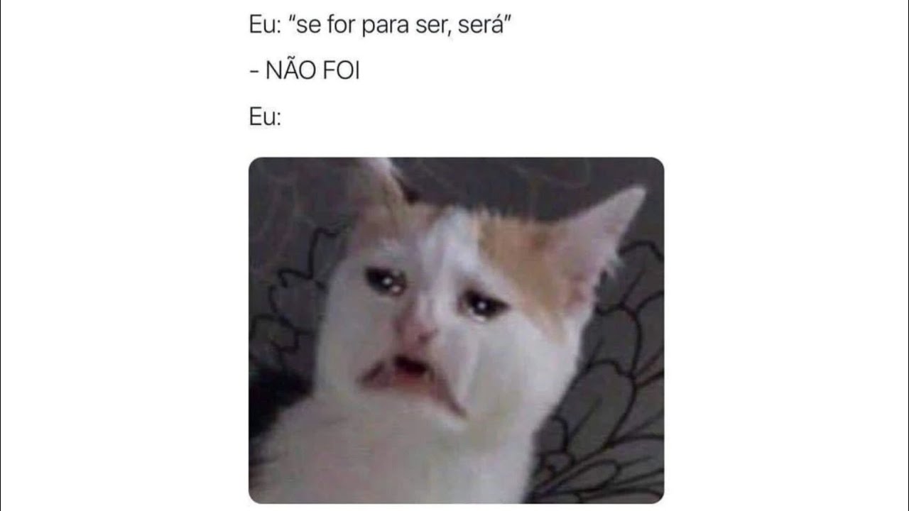 10 MINUTOS DE MEMES EM IMAGENS - se for pra ser será. - YouTube