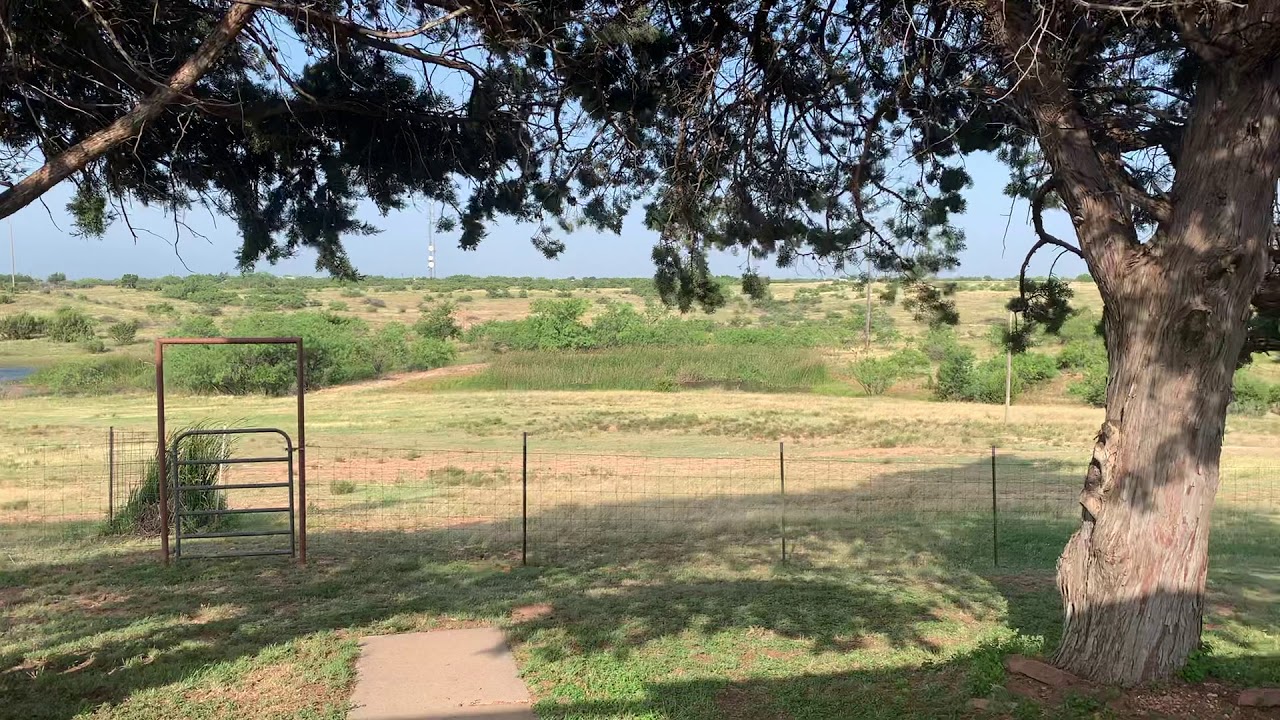 General Ecology - The Biome in my Backyard - YouTube