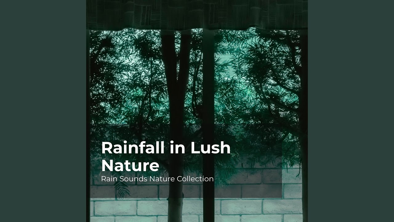 Fall of Rain in Nature - YouTube