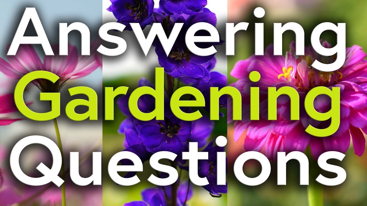 Answering Your Gardening Questions - Pots & Trowels - YouTube
