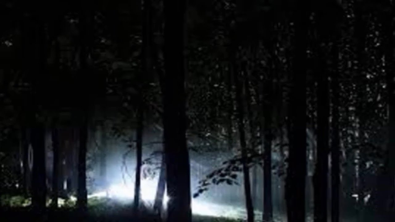 🎧 🎧 Relaxing Sleep Music : Night Forest for Deep Sleep, Relaxing ...