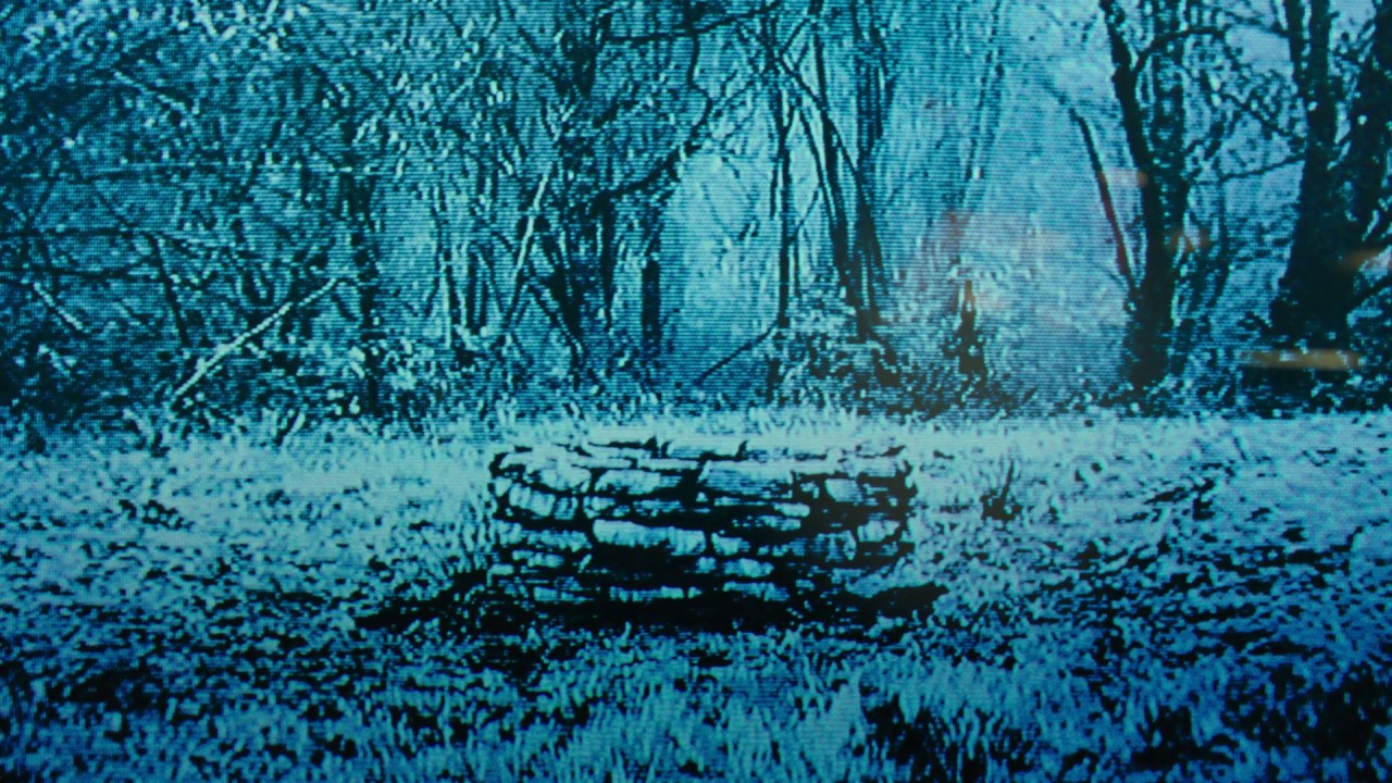 THE RING 3 - Scena del film "Televisore" - YouTube