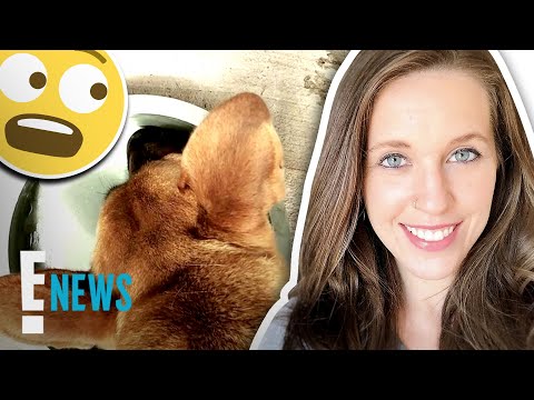Jill Duggar Defends Feeding Her Dog Old Breast Milk | E! News