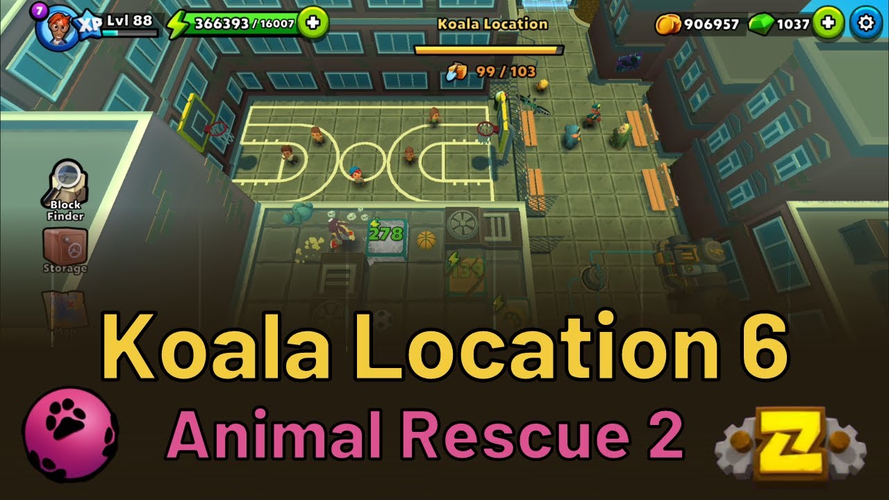 Koala Location 6 - Animal Rescue 2 - Puzzle Adventure - YouTube