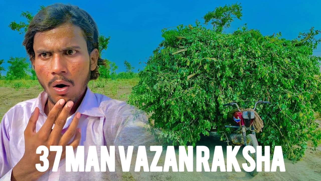 Sarkar Ke Jungle Se Chorilakdiyan kati 😮 - YouTube