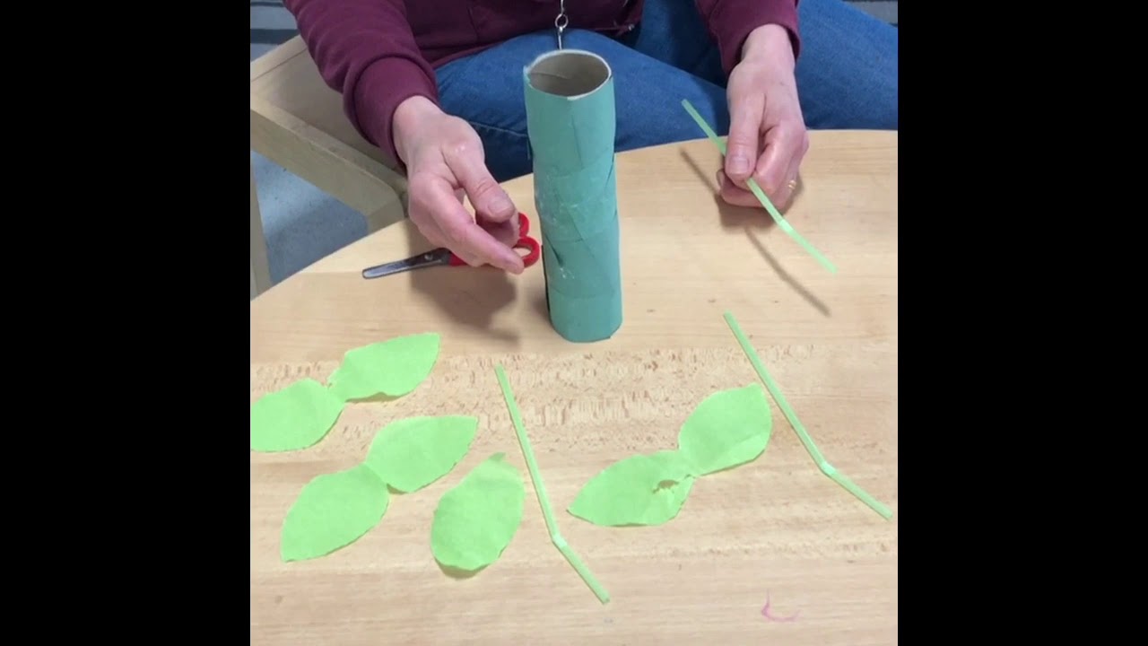 Make a beanstalk with Sally - YouTube