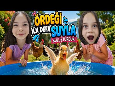 Elif ile Alya'nın Ördeği İlk Kez Suya Girdi  Sonra Olanlar
