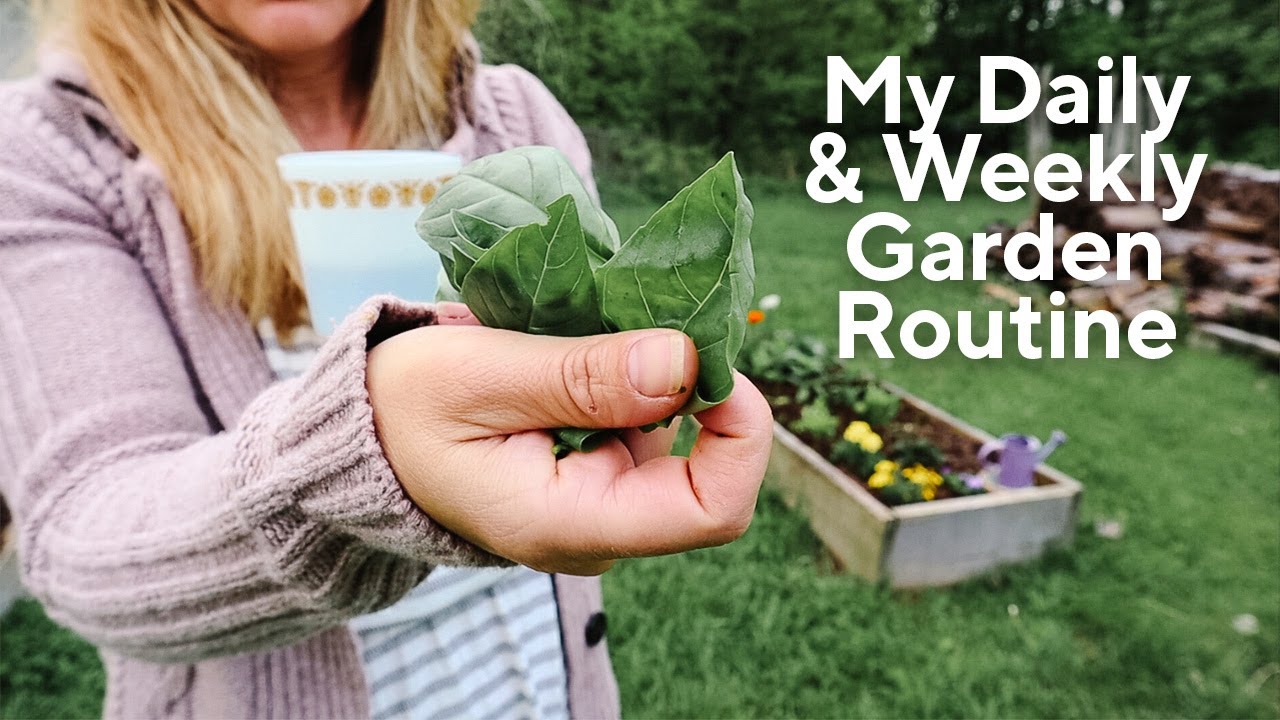 My Daily and Weekly Garden Routine - YouTube
