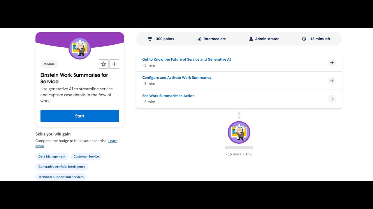 Einstein Work Summaries for Service | Full Explain हिन्दी - YouTube