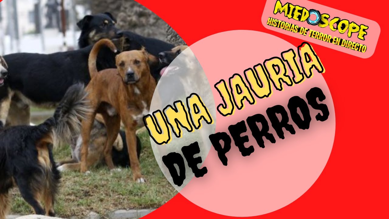 UNA JAURÍA DE PERROS - YouTube