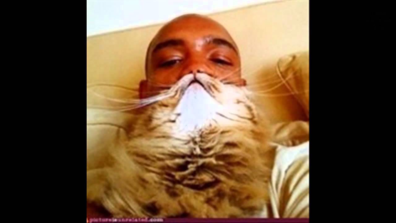 pirate101 cat beard video pirate101 cat beard - YouTube