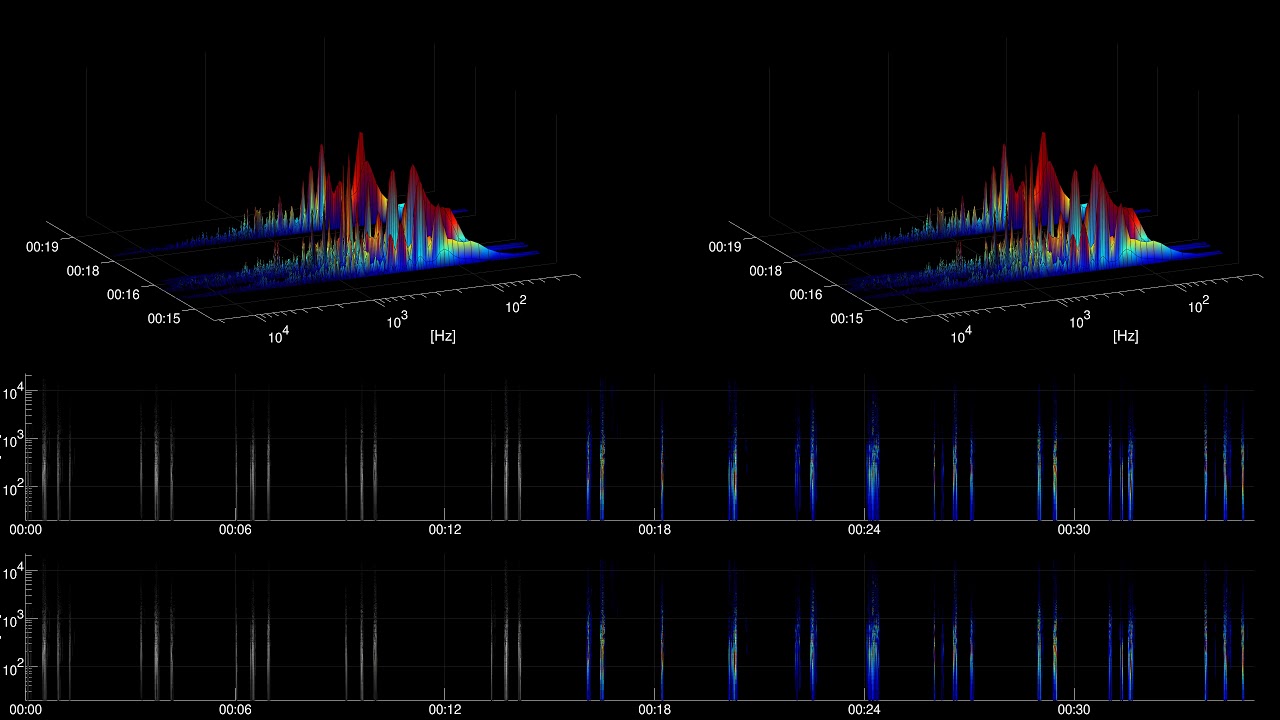 [Free sound effect] Foley | Shuffling Feet Gravel - YouTube