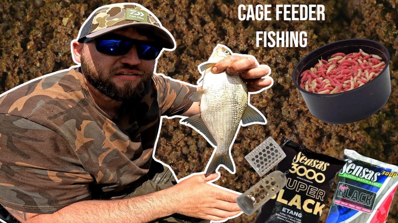 Cage feeder fishing on the Inniscarra river stretch [Big hybrids on the ...