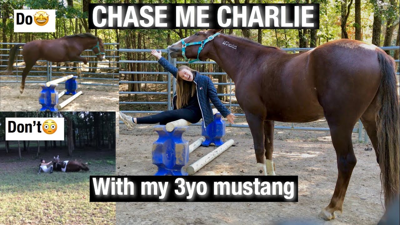 CHASE ME CHARLIE | Jumping Challenge - YouTube