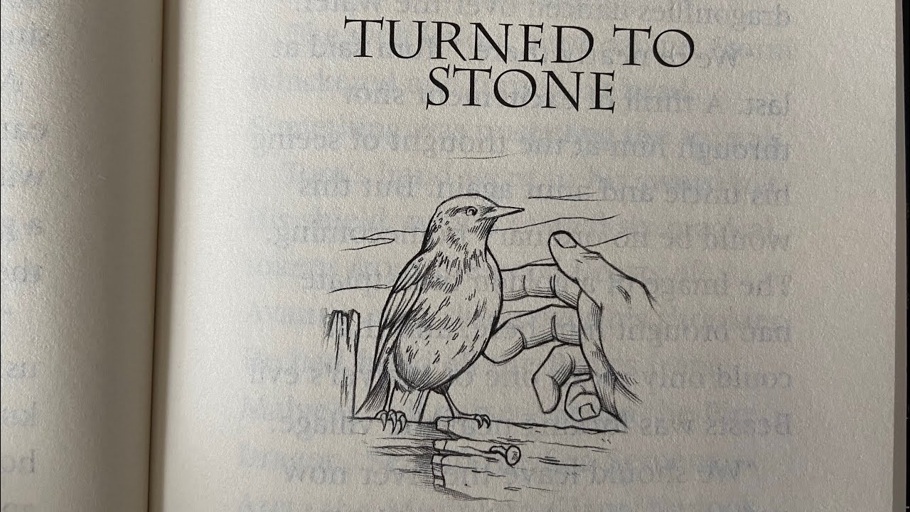 Beast Quest Soltra the stone charmer Chapter 2 Turned to stone - YouTube