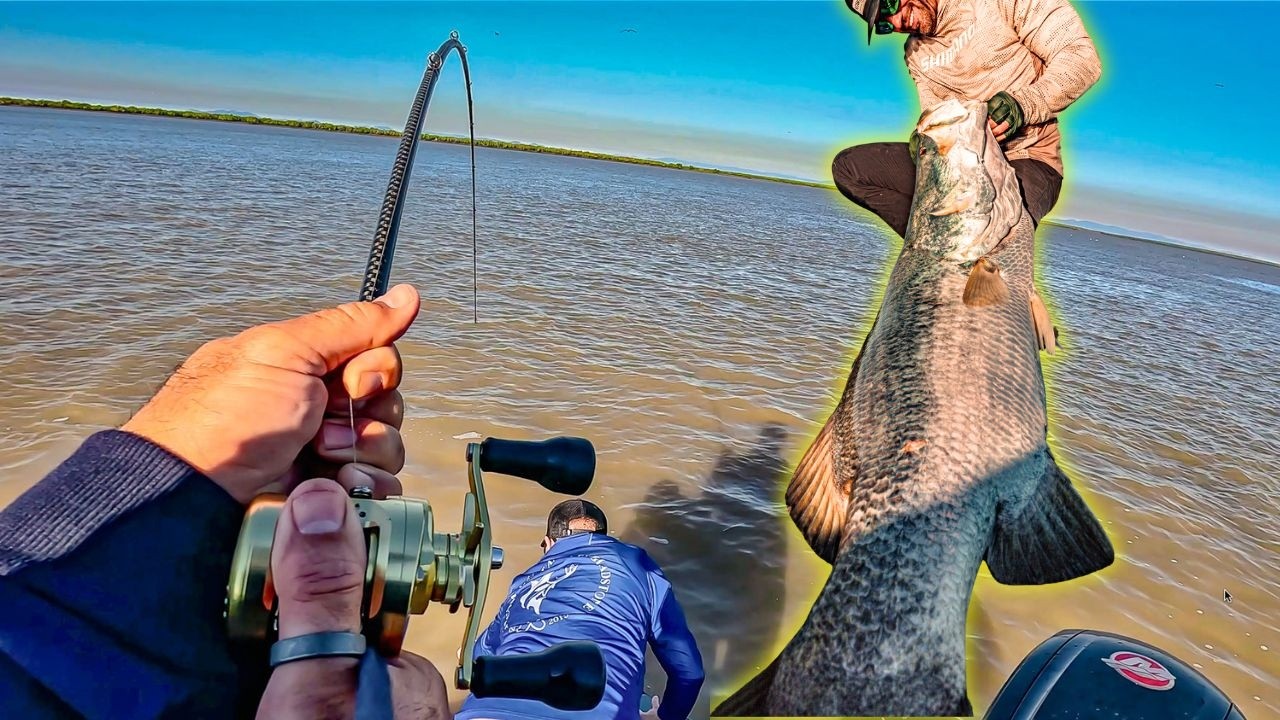 Australia's Trophy Barramundi: Dean Silvester's Fishing Fitzroy River ...