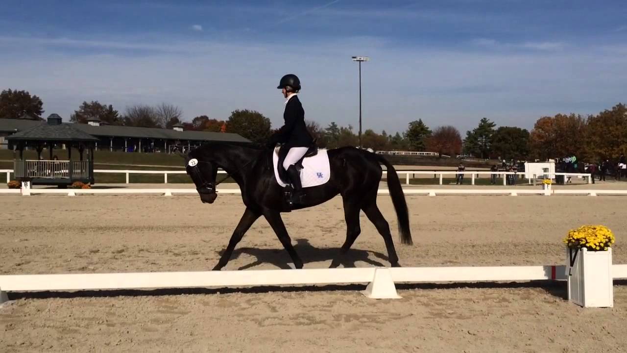 RRP Makeover Eventing Discipline--Dressage Called to Serve - YouTube