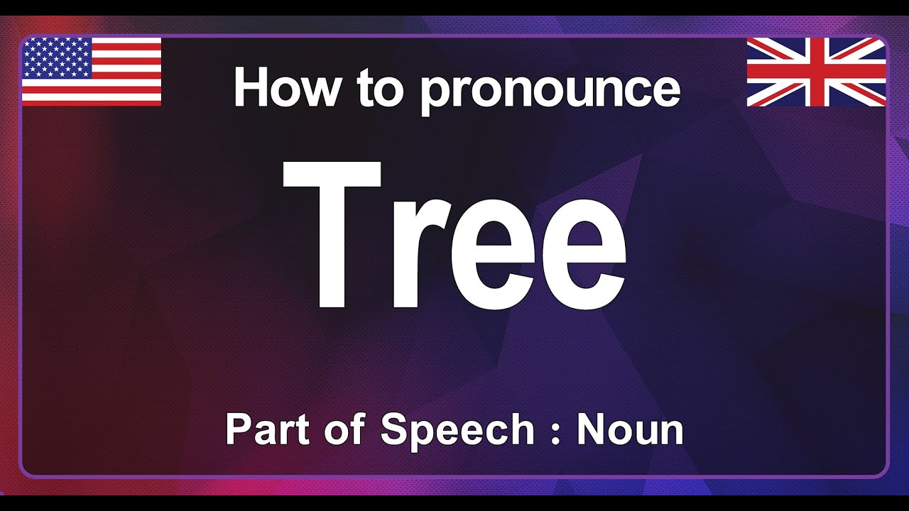 Tree Pronunciation Correctly , How to Pronounce Tree in American ...
