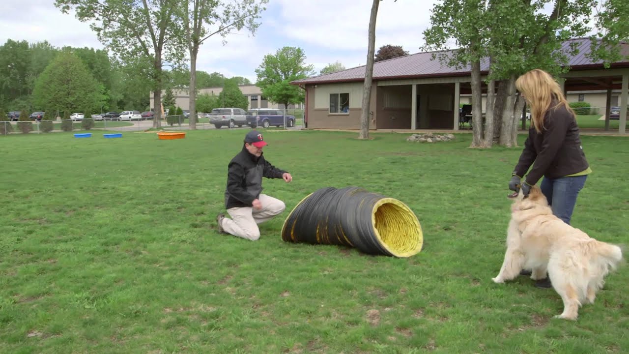 Ep. 215 - "The Canine Coach" - YouTube