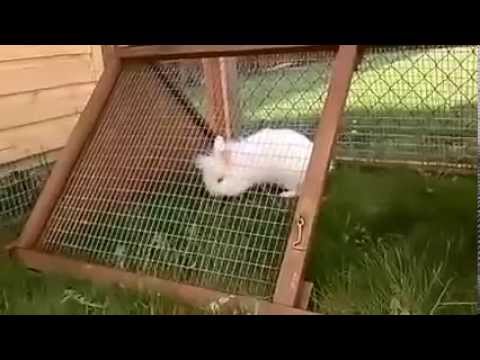 Maissie's 1st time outdoors