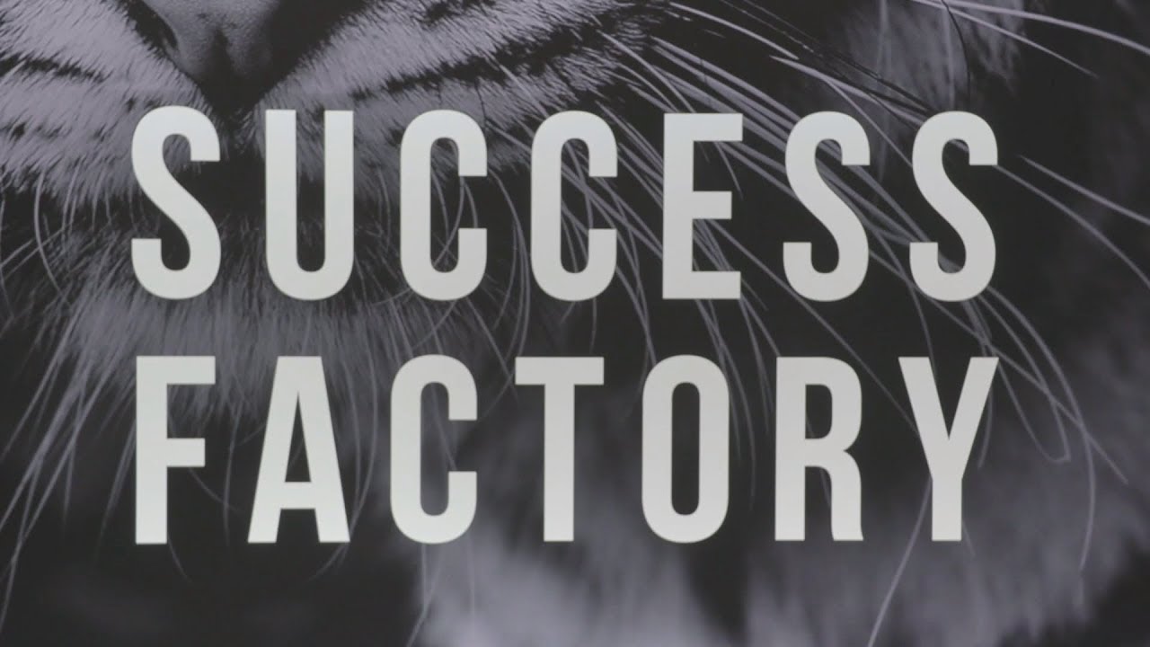 ¿Qué significa Success Factory? Sus líderes te lo cuentan. - YouTube