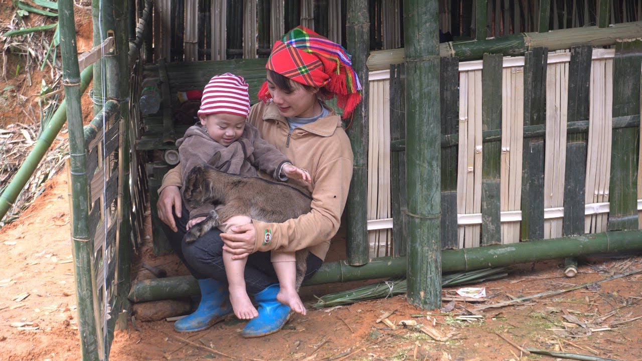 No Home, No Family: 18 Days A Single Mother's Journey to Build a Small ...
