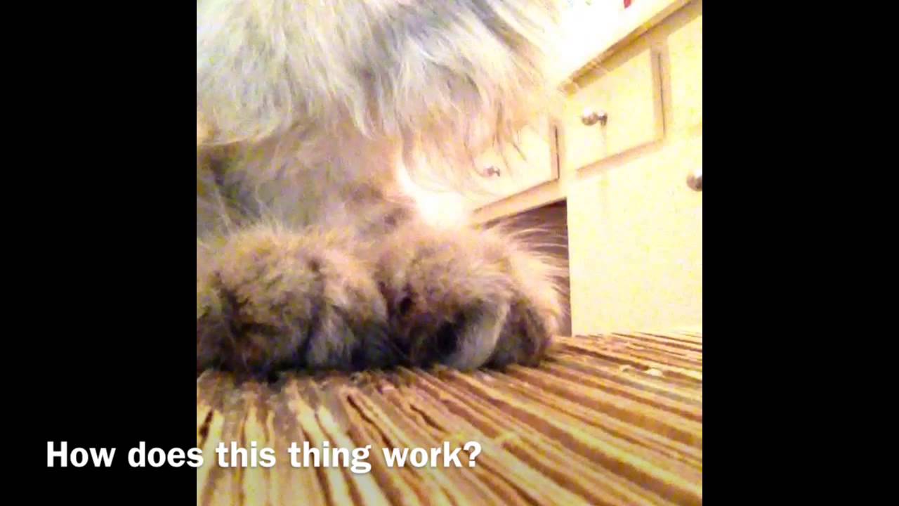 How does this work - YouTube